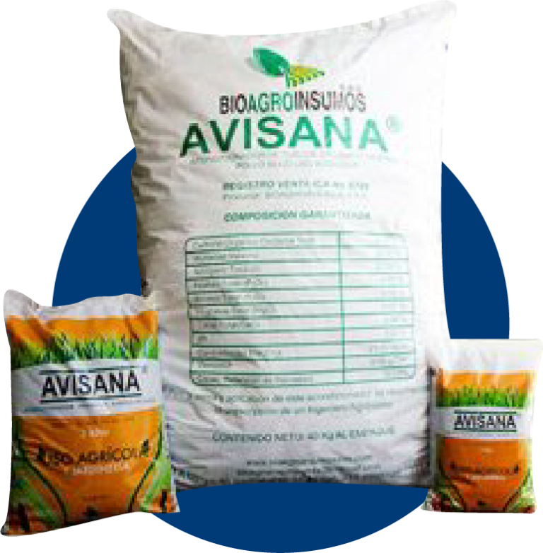 Productos – Kibutzim